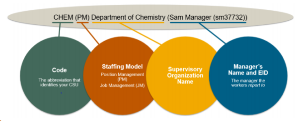Workday HCM, Supervisory Orgs and Staffing Models - Workday Trainings